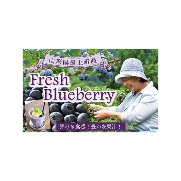 ■ 容量　ブルーベリー冷凍　1kg　■ 配送について　時間指定、別送　9月〜3月の限定出荷　　沖縄・離島へ配送対応していない返礼品に対して、同区域よりご寄附いただいた場合、または同区域を配送先に指定された場合は、大変申し訳ございませんが、キ...