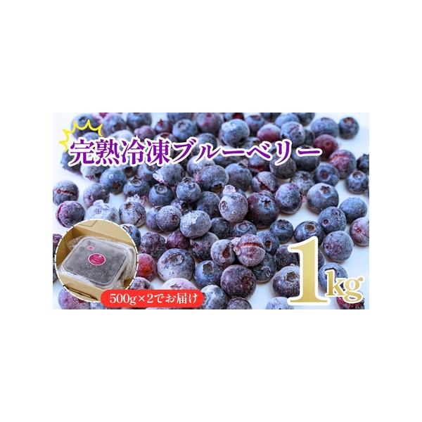■ 容量　ブルーベリー(500g)×2パック　　賞味期限：解凍後はお早めにお召し上がりください。■ 配送について　準備が出来次第、順次発送　　◆年末・年始の出荷(予定)◆　年末最終発送日：12月26日　年始開始発送日：1月6日　タイプ：【冷凍】