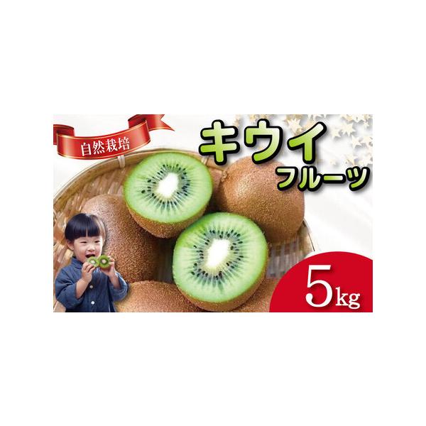 ■ 容量　5kg×1箱（サイズにより50個から60個）　■ 配送について　12月頃より順次発送予定　※12月中旬以降の寄附受付分に関しては、1月以降の出荷となります。予めご了承ください　タイプ：【常温】