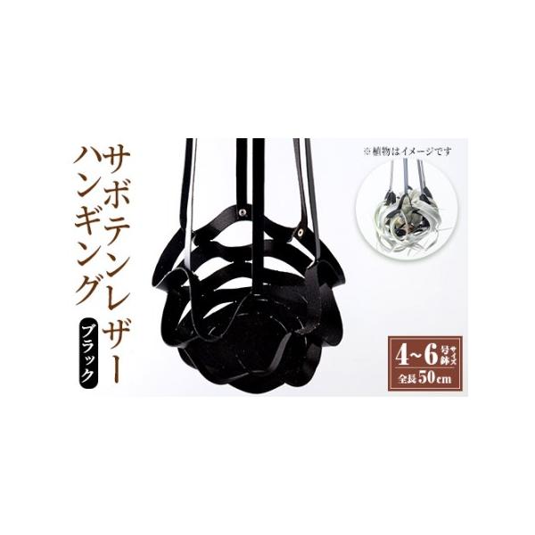 ■ 配送について　入金確認後、3ヵ月以内の発送　タイプ：【常温】