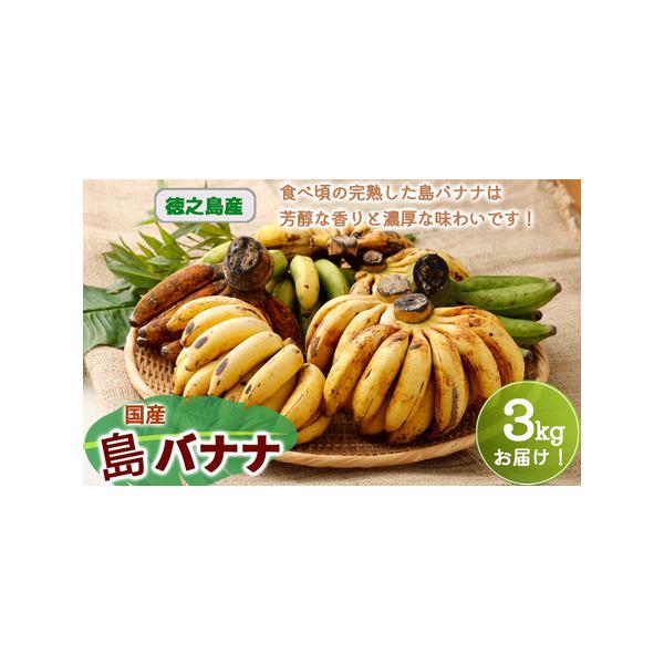 ■ 容量　3kg（2房〜5房）■ 配送について　2026年7月上旬より順次お届けいたします。　※天候等の影響により、8月〜9月頃のお届けとなる場合もございます。予めご了承ください。　　タイプ：【常温】