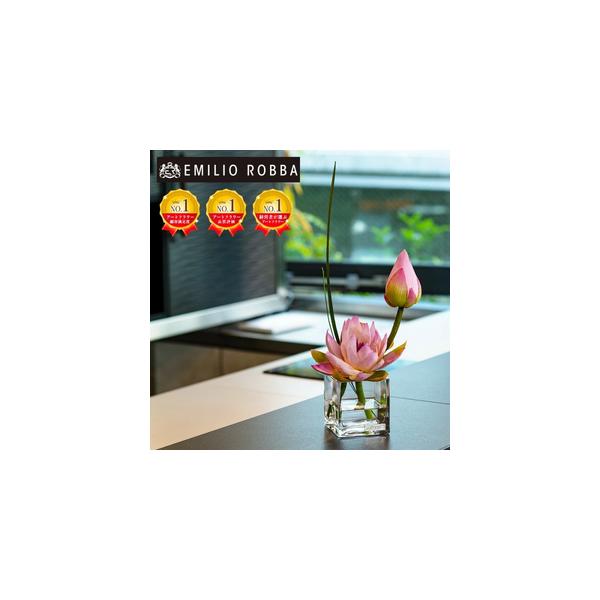 ■ 容量　ロータスpk-M TTNTS20100　1個：横幅 20cm× 奥行 15cm× 高さ 40cm (※多少の誤差はございます)　　タイプ：【常温】