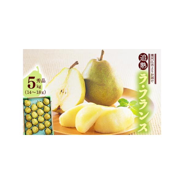 ■ 容量　【容量】　2025年産（令和7年産）　山形県産（寒河江市産）　5kg（14〜18玉） 秀品　　※サイズ・玉数の指定はできません。　※仕様によりサイズ、等級などは発送伝票に記載となります。箱には印字されておりません。　【短冊のし対応...