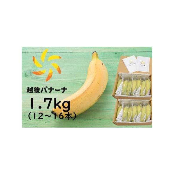 ■ 容量　・越後バナーナ（グロスミッチェル）：1.7kg（12〜16本）　　・消費期限：1週間　【食べごろサイン】　皮の表面に黒い点（シュガースポット）が出たら食べごろです。■ 配送について　申込期日：通年　　発送時期：決済から30日前後で...