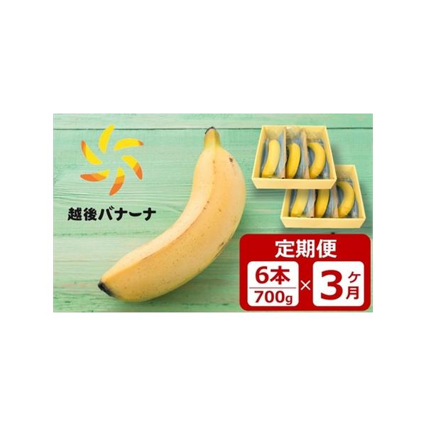 ■ 容量　・越後バナーナ（グロスミッチェル）：6本（700g）×3ヶ月　　・消費期限:1週間　【食べごろサイン】　皮の表面に黒い点（シュガースポット）が出たら食べごろです。■ 配送について　発送期日:決済完了の翌月から3ヶ月連続でお届けしま...