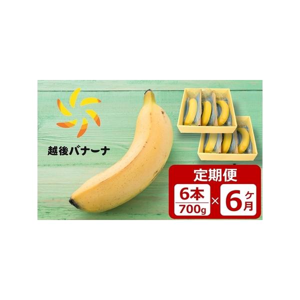 ■ 容量　・越後バナーナ（グロスミッチェル）：6本（700g）×6ヶ月　　・消費期限:1週間　【食べごろサイン】　皮の表面に黒い点（シュガースポット）が出たら食べごろです。■ 配送について　発送期日:決済完了の翌月から6ヶ月連続でお届けしま...