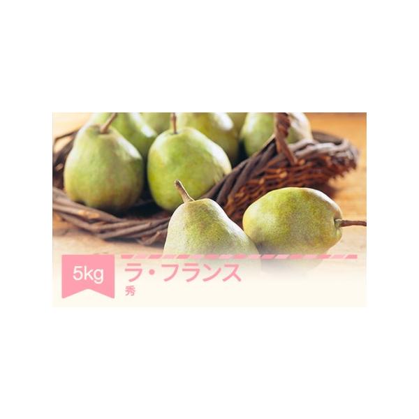 ■ 容量　約5kg■ 配送について　11月上旬頃~1月下旬頃に配送いたします。　※生育状況等の理由により配送時期が前後する場合がございます。　　タイプ：【常温】