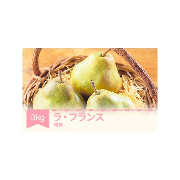 ■ 容量　約3kg■ 配送について　11月上旬頃~1月下旬頃　※生育状況等の理由により配送時期が前後する場合がございます。　タイプ：【常温】