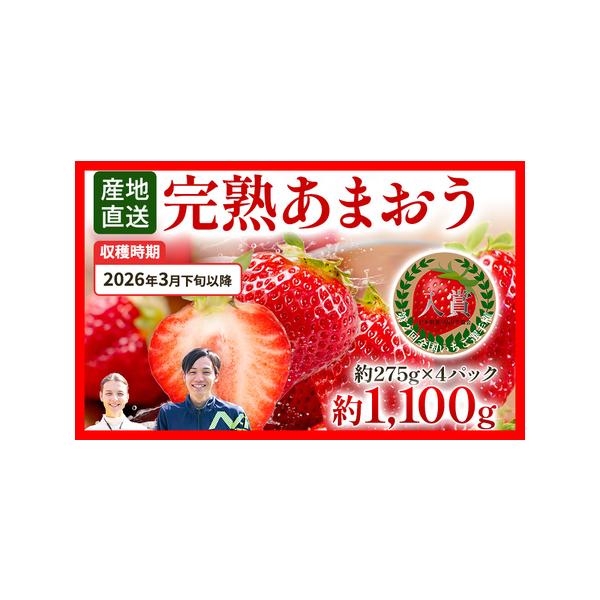 ■ 容量　約1,100g（約275g×4パック）　■賞味期限　生ものですのでできるだけお早めにお召し上がりください。　■保存方法　要冷蔵（10℃以下で保存）■ 配送について　2026年3月下旬以降順次発送予定　タイプ：【冷蔵】