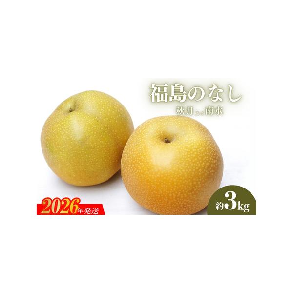 ■ 容量　約3kg　タイプ：【常温】