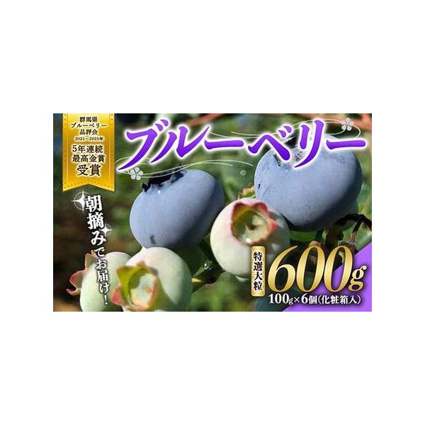 ■ 容量　群馬県特別栽培農産物 ハイブッシュ系ブルーベリー100g×6個＝600g■ 配送について　2026年6月1日より順次発送　タイプ：【冷蔵】