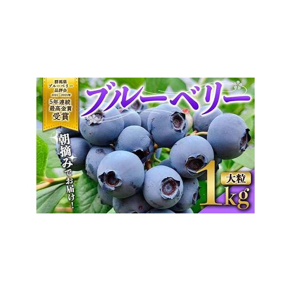 ■ 容量　群馬県特別栽培農産物 ハイブッシュ系ブルーベリー1kg（500g×2）■ 配送について　2026年6月1日より順次発送　タイプ：【冷蔵】