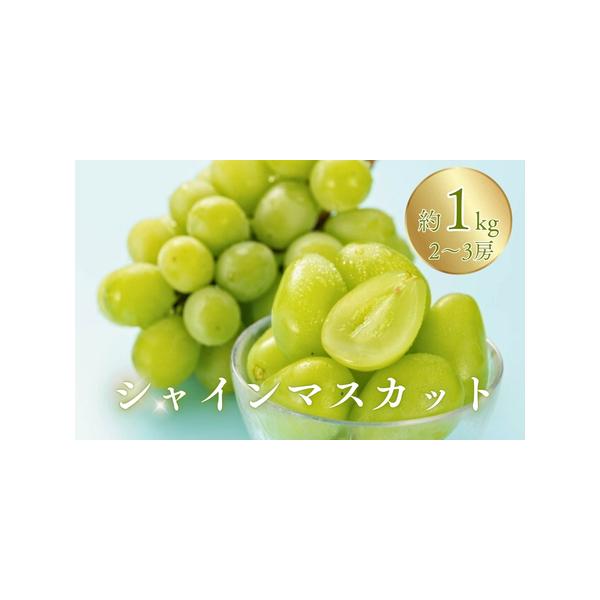 ■ 容量　約1kg（2~3房）※最低900g以上■ 配送について　2026年9月上旬頃より順次発送。　（2026年9月上旬~9月下旬の期間で発送いたします）　※返礼品の特性上、発送予定日が前後する場合がありますのでご了承ください。　タイプ：...