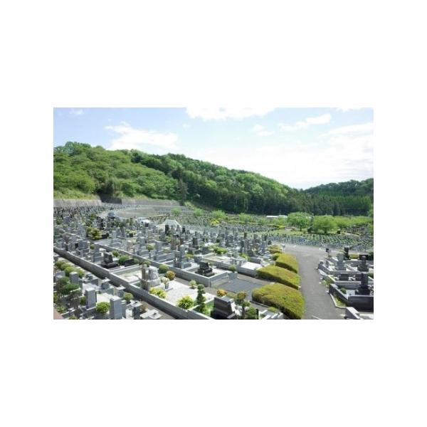 ■ 容量　お墓参り代行チケット　１枚対応エリア：丹波篠山市内有効期限：チケット発行日から1年間■ 配送について　準備できしだい順次発送　タイプ：【常温】