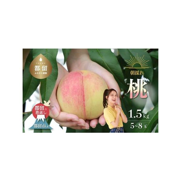■ 容量　山梨県都留市産 桃 約1.5kg以上（５〜７玉）　タイプ：【冷蔵】