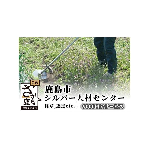 ■ 容量　鹿島市シルバー人材センター 9,000円分サービス　※9,000円分を超える作業の場合は、別途費用がかかります。■ 配送について　・作業実施日はご相談の上で決定します。　・寄附お申込みの前に鹿島市シルバー人材センターにお問い合わせ...
