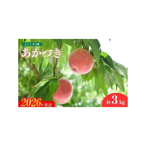 ■ 容量　約3kg■ 配送について　発送期日：2026年7月下旬から2026年8月中旬発送予定　タイプ：【常温】