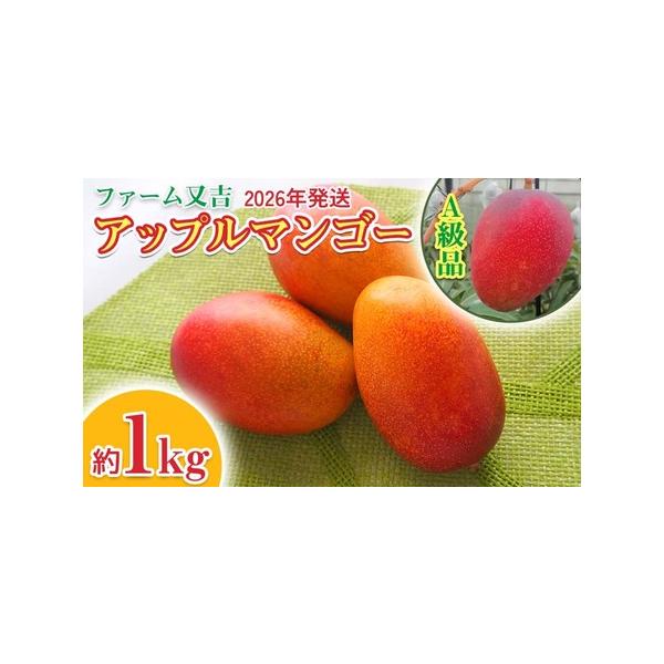 ■ 容量　アップルマンゴー　約1kg　A級品（2〜3玉）■ 配送について　2026年7月中旬〜8月上旬　タイプ：【冷蔵】