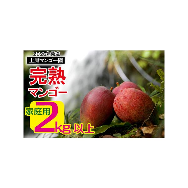 ■ 容量　〈家庭用〉完熟マンゴー2kg以上（3〜8玉）（玉数の指定はできません）※こちらの返礼品は「家庭用」です。・色づき3割〜５割・大きさにバラつきがあります■ 配送について　2026年7月中旬〜8月上旬発送予定　　タイプ：【冷蔵】