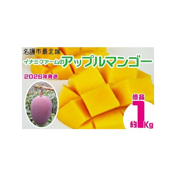 ■ 容量　アップルマンゴー　約1kg　（2〜3玉）　　優品（色付き5〜6割）　化粧箱入り　　アレルギー：ウルシ科■ 配送について　2026年7月中旬〜8月中旬で順次発送予定　　タイプ：【冷蔵】