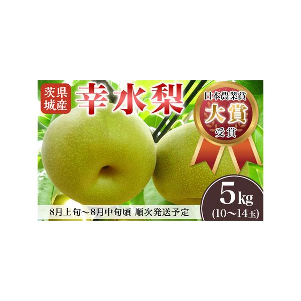 ■ 容量　茨城県産「幸水梨」約5kg（10〜14玉）■ 配送について　2026年8月上旬〜8月中旬にかけて発送予定　※天候などの影響や育成具合により、発送時期が変動する場合がございます。　※お申込み時に「到着日のご指定」・「曜日指定」はお受...