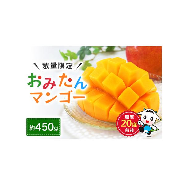 ■ 容量　約450g　※1個入り，2個入りの指定はできませんのでご了承ください。■ 配送について　※【7月20日〜8月末まで】順次発送予定となります。　※天候により出荷時期が前後する場合がございますので、ご理解のほどお願い申し上げます。　※...