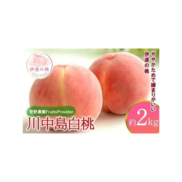 ■ 容量　【容量】　川中島白桃 約2kg (5〜7玉)　※収穫状況により発送時期が前後するため、前もって発送日を確定しにくい状況について何卒ご理解いただければ幸いです。　※沖縄・離島へのお届けはできかねます。　※桃はとてもデリケートな果物で...