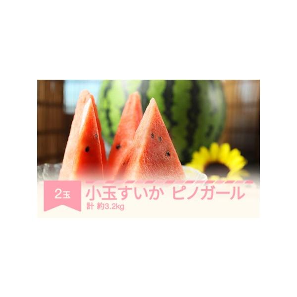 ■ 容量　2玉 (計 約3.2kg)■ 配送について　7月中旬~8月上旬頃　※生育の状況により多少前後することがあります　タイプ：【常温】