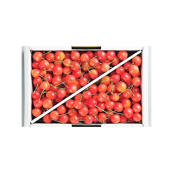 ■ 容量　佐藤錦１ｋｇ　バラ詰め　ご家庭用　※天候により出荷時期や規格（数、サイズ、品種等）を変更する場合がございます。■ 配送について　２０２６年６月上旬〜６月下旬迄　※ご不在日が多く配達が困難な場合、お礼品や配送先の変更をお願いする場合...