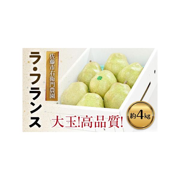 ■ 容量　ラ・フランス　等級：秀　容量：正味3.8kg以上（約4kg）　サイズ：7L（550g以上）×7玉詰め　※7L＝当園の一般サイズ（3L,4L）の1.5倍以上　■ 配送について　令和7年11月上旬〜令和8年1月中旬にかけて順次発送予定...