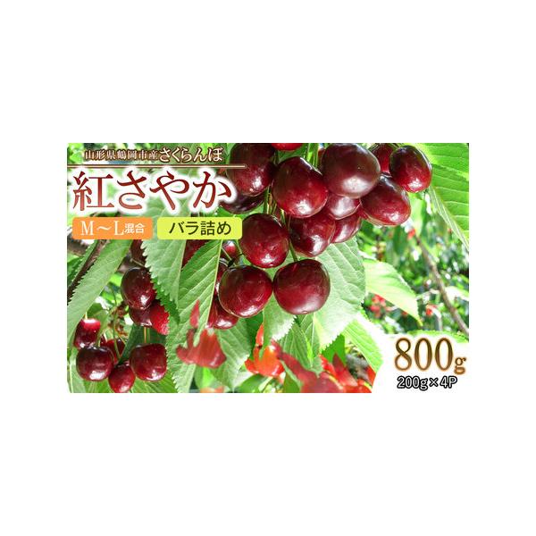 ■ 容量　紅さやか　200g×4パック 合計800g（M~Lサイズ混合 フードパック　バラ詰め）　　【産地】山形県鶴岡市　【提供事業者】五十嵐　茂也　　【賞味(消費)期限】　実が柔らかく傷みやすいフルーツです。　生もののため到着後は冷蔵庫で...