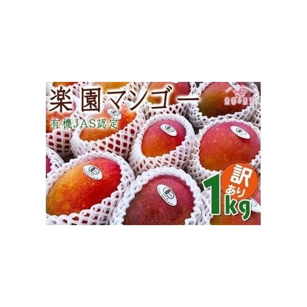 ■ 容量　有機マンゴー1kg（2〜4玉）　玉数の指定はできません。■ 配送について　2026年6月下旬頃より収穫次第、順次発送致します。　タイプ：【冷蔵】