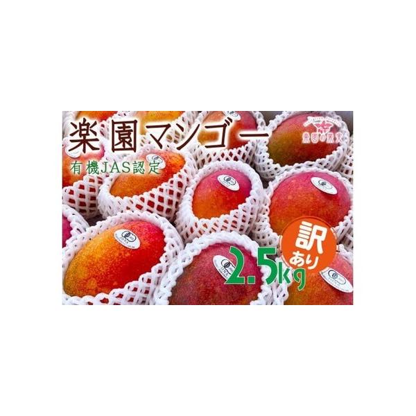 ■ 容量　有機マンゴー2.5kg（5〜12玉）　※玉数の指定はできません。■ 配送について　2026年6月下旬頃より収穫次第、順次発送致します。　タイプ：【冷蔵】
