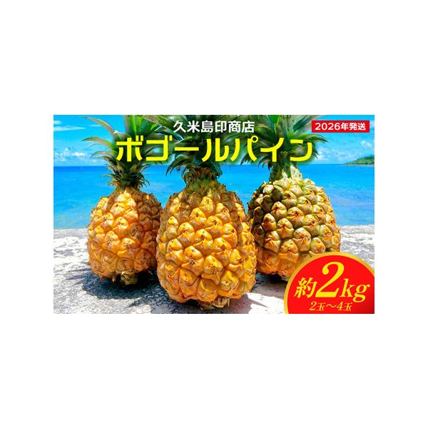 ■ 容量　久米島産ボゴールパイン　約2kg（２玉〜４玉）　※玉数の指定は出来ません。■ 配送について　2026年6月初旬〜8月下旬　タイプ：【冷蔵】