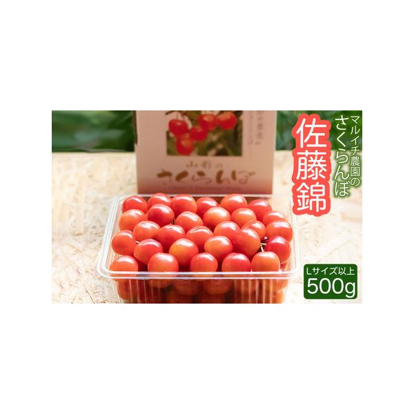 ■ 容量　さくらんぼ 佐藤錦（Lサイズ以上）500g　　【産年】令和8年産　【産地名】鶴岡市西片屋　【提供事業者】マルイチ農園（渡部賢一）　　【賞味(消費)期限】冷蔵で3日間　※生ものですので、なるべく新鮮な内にお召し上がり下さい。■ 配送...