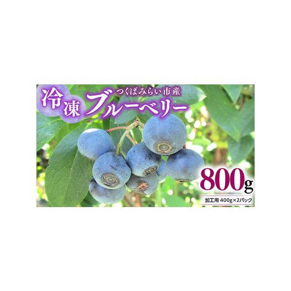 ■ 容量　400g×2パック■ 配送について　寄附入金確認後、3〜5週間程度で発送　※クール便対象 配送できない地域がございます※　　・伊豆諸島：青ヶ島村（青ヶ島）・利島村（利島）・御蔵島村（御蔵島）・式根島　　・小笠原諸島：小笠原村（父島...