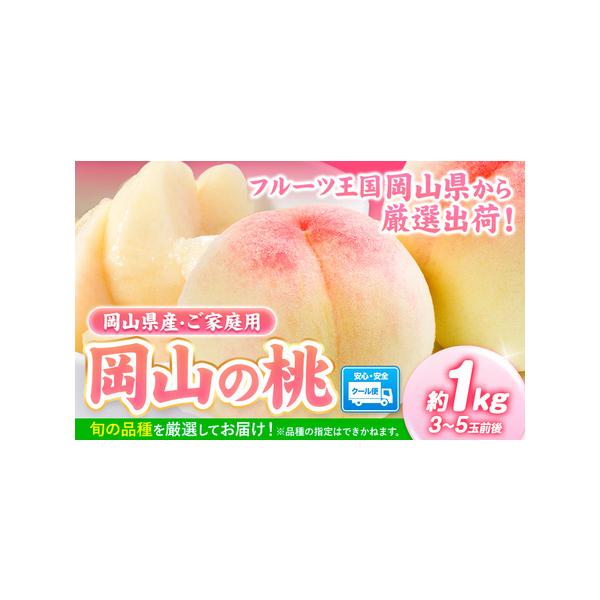 ■ 容量　合計1kg（3〜5玉前後）■ 配送について　2026年6月下旬-9月上旬頃出荷　タイプ：【冷蔵】