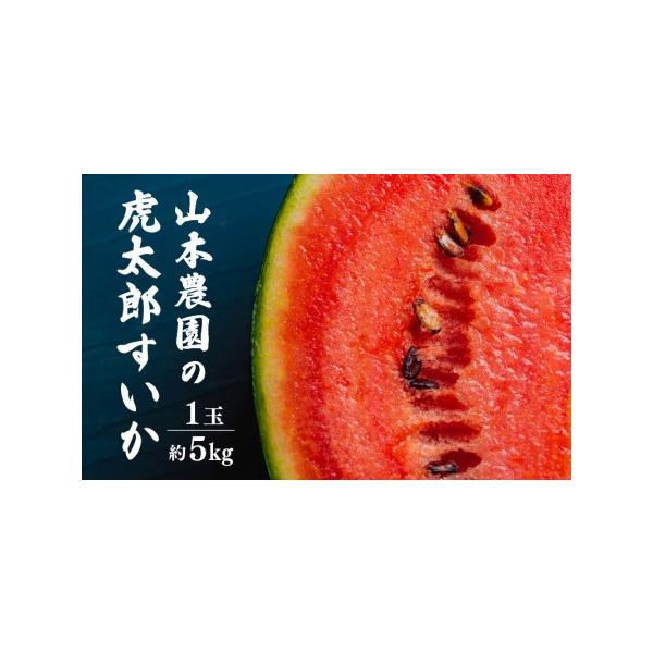 ■ 容量　■内容量等　虎太郎すいか 1玉 約5kg　産地：越前町■ 配送について　■申込期日：2026年7月27日23時59分　■発送期日：【先行予約・2026年7月下旬より順次発送予定】　　　【寄附受付期限の入金について】　お支払い方法に...