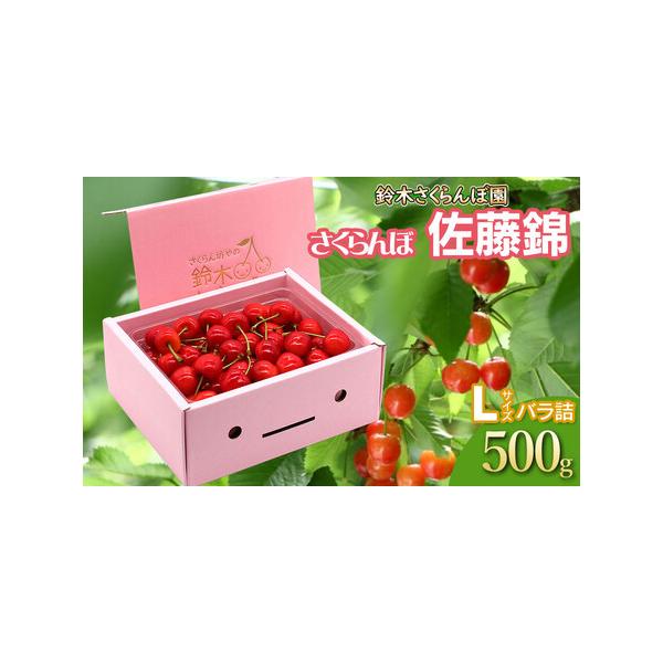 ■ 容量　さくらんぼ 佐藤錦　バラ詰め Lサイズ500g　　【産地名】 山形県鶴岡市産　【提供事業者】鈴木さくらんぼ園　　【賞味(消費)期限】生ものですので、お早めにお召し上がり下さい。■ 配送について　【申込期日】令和8年5月30日までご...