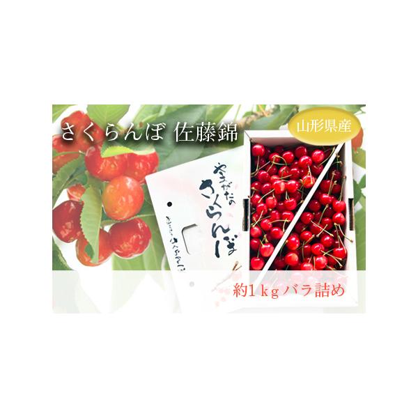 ■ 容量　L玉・約1kgバラ詰め■ 配送について　2026年06月中旬〜下旬頃にかけて、寄付受付順に発送　タイプ：【冷蔵】