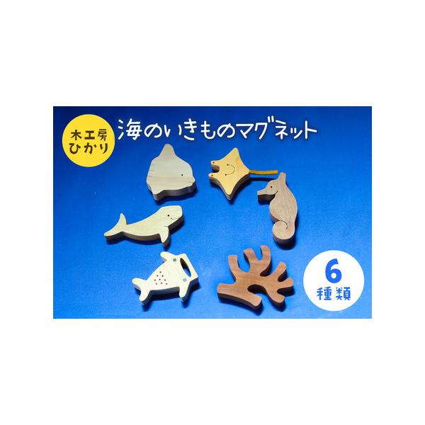 ■ 容量　・海のいきものマグネット6種（サンゴ・マンボウ・ジュゴン・タツノオトシゴ・ジンベイザメ・マンタ）　各1個（おおよそ最長部分：約7cm×厚み約1cm）■ 配送について　寄附受付から1ヶ月〜2ヶ月　タイプ：【常温】