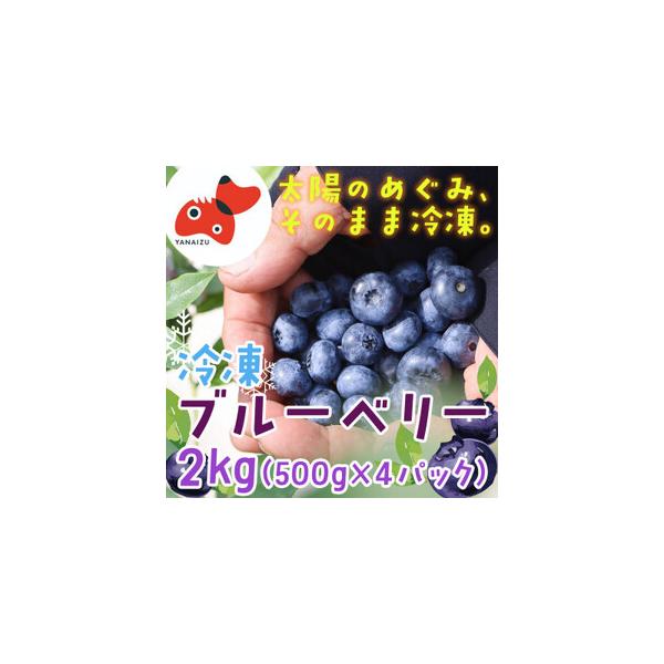 ■ 容量　※上記に記載■ 配送について　2026年1月より順次発送　タイプ：【冷凍】