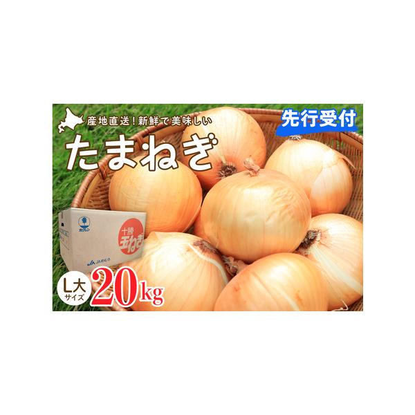 ■ 容量　たまねぎ：20kg（L大サイズ）■ 配送について　入金確認後、2026年10月上旬から順次発送　※収穫状況により、発送予定から前後する場合がございます。　タイプ：【常温】