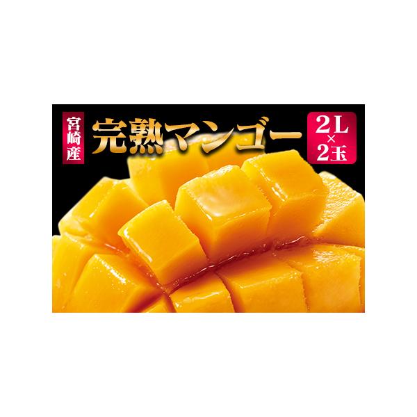 ■ 容量　宮崎県産完熟マンゴー 2Lサイズ×2玉■ 配送について　2026年6月上旬〜7月末の収穫期間内に順次出荷（前後する可能性あり）　タイプ：【冷蔵】