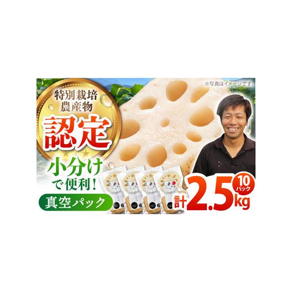 ■ 容量　■内容量　れんこんパック 2.5kg（250g×10パック）■ 配送について　生鮮食品になりますので、お受け取りができないお日にちがある場合は必ず備考欄に記入をお願いいたします。指定日配送は承りかねます。　タイプ：【冷蔵】