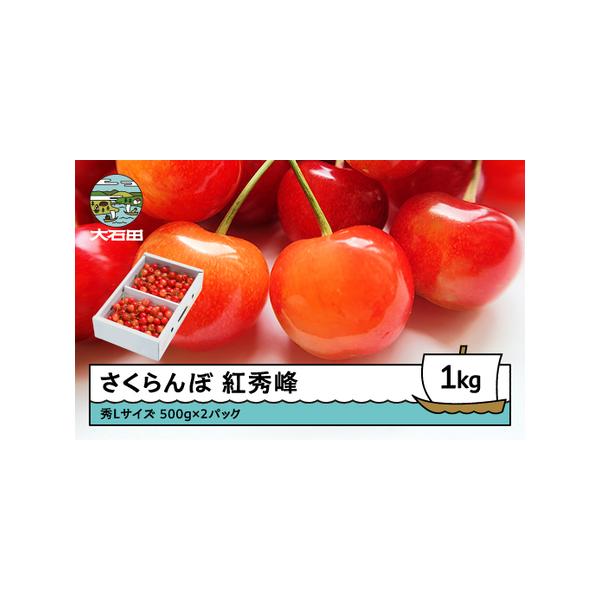 ■ 容量　秀Lサイズ 1kg(500g×2)　タイプ：【冷蔵】