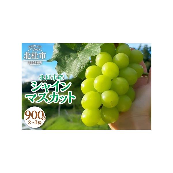 ■ 容量　シャインマスカット：900g(2〜3房)　　【消費期限】　青果物のため、お早めにお召し上がりください。　　【申し込み可能な期間】　〜2026年9月下旬頃　※在庫が無くなり次第終了　　【関連ワード】　シャインマスカット 900g 2...