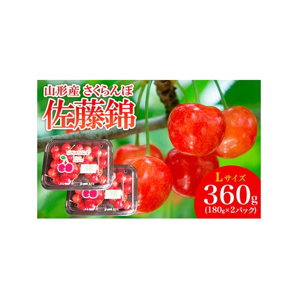 ■ 容量　【令和8年産】　 特選 佐藤錦 L 360g(180g×2パック入)■ 配送について　【申込期日】2026年05月31日まで　【発送期間】2026年06月10日頃〜2026年06月30日頃　※状況により配送時期が前後する場合がござ...