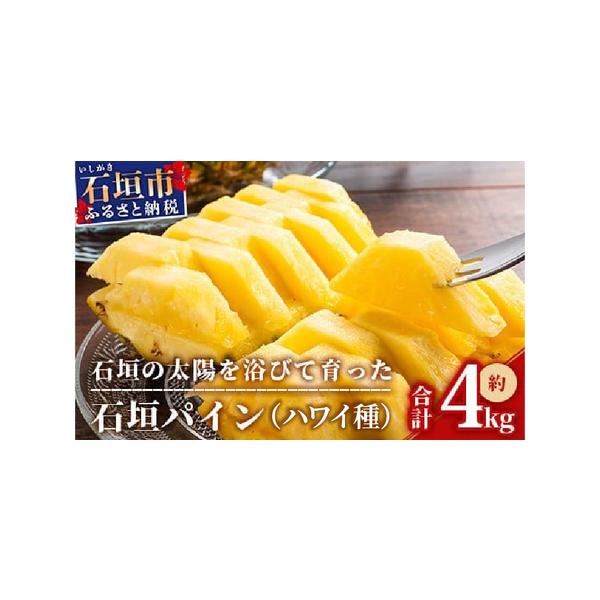 ■ 容量　石垣島産パイン（ハワイ種）3個（約4ｋｇ）　タイプ：【常温】