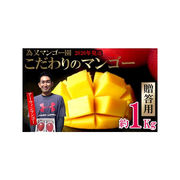 ■ 容量　アーウィンマンゴー　約1kg（2〜3玉）　※玉数の指定はできません。■ 配送について　2026年7月上旬〜8月中旬に順次発送　タイプ：【冷蔵】